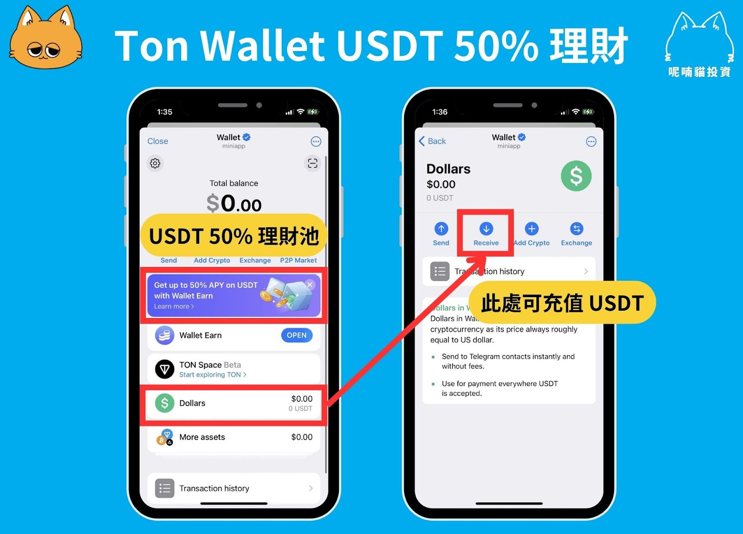 TON 幣是什麼？深入解析 Toncoin 潛在價值、技術特色、代幣經濟 – 呢喃貓商學院Murmurcats