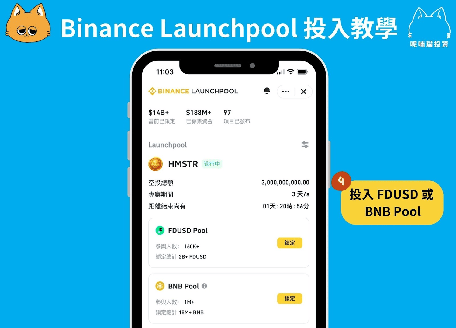 【幣安 Launchpool】幣安 Launchpool是什麼？最新 HMSTR 幣參與攻略 - 呢喃貓投資Murmurcats