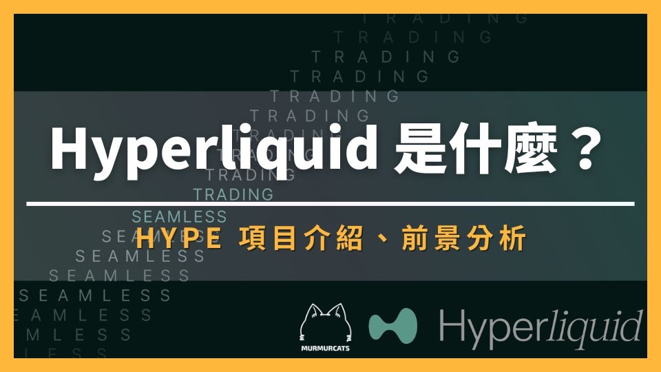 Hyperliquid 交易所介紹：HYPE 幣用途、優缺點、項目前景一次看懂！ – 呢喃貓商學院Murmurcats