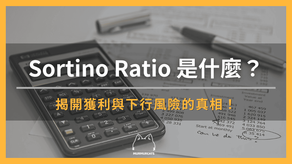 Sortino Ratio 是什麼？揭開獲利與損失風險的真相！ – 呢喃貓商學院Murmurcats